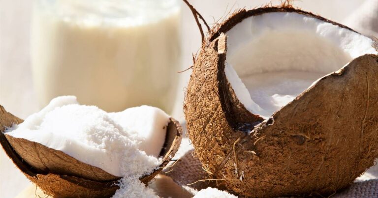 Agua de coco con leche: 5 deliciosas y refrescantes recetas que debes ...