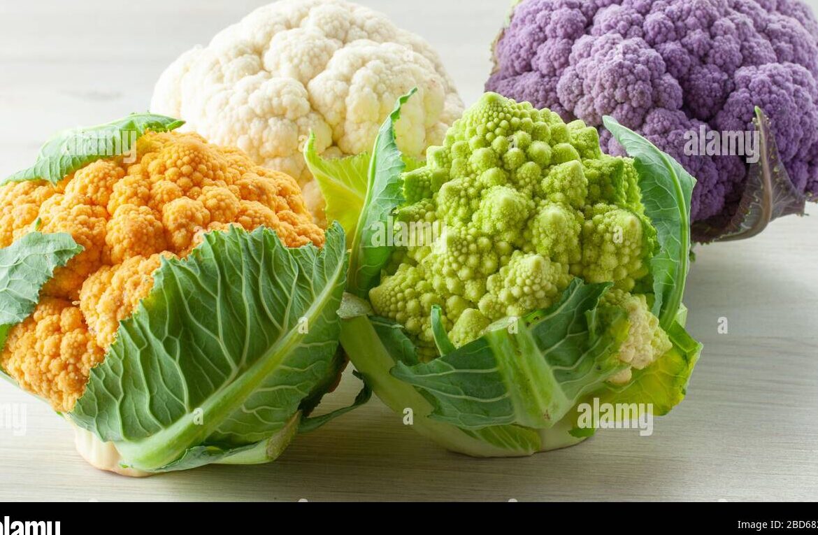 Los 10 mejores destinos para disfrutar del cultivo de la coliflor en ...