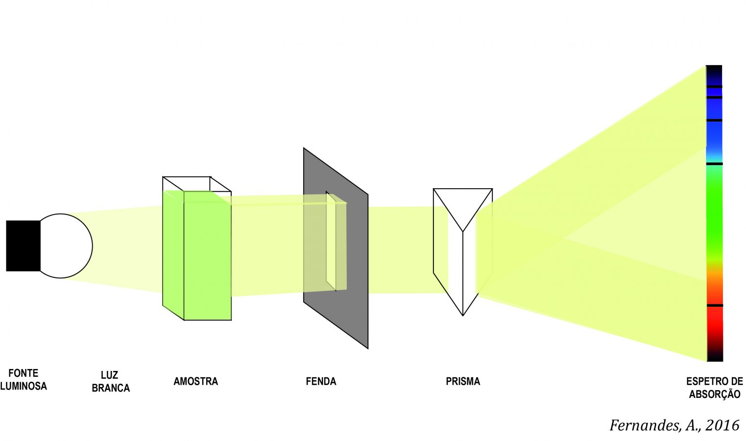 Descubre qué es un Espectro de Absorción y cómo te ayuda a comprender ...